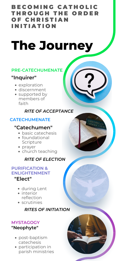 Christian Initiation of Adults | Assumption & Resurrection | Fairport, NY