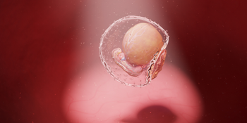 Florida Conference of Catholic Bishops - Required Instruction in Human ...