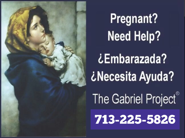 Gabriel Project - Proyecto Gabriel - St. Charles Borromeo Catholic ...