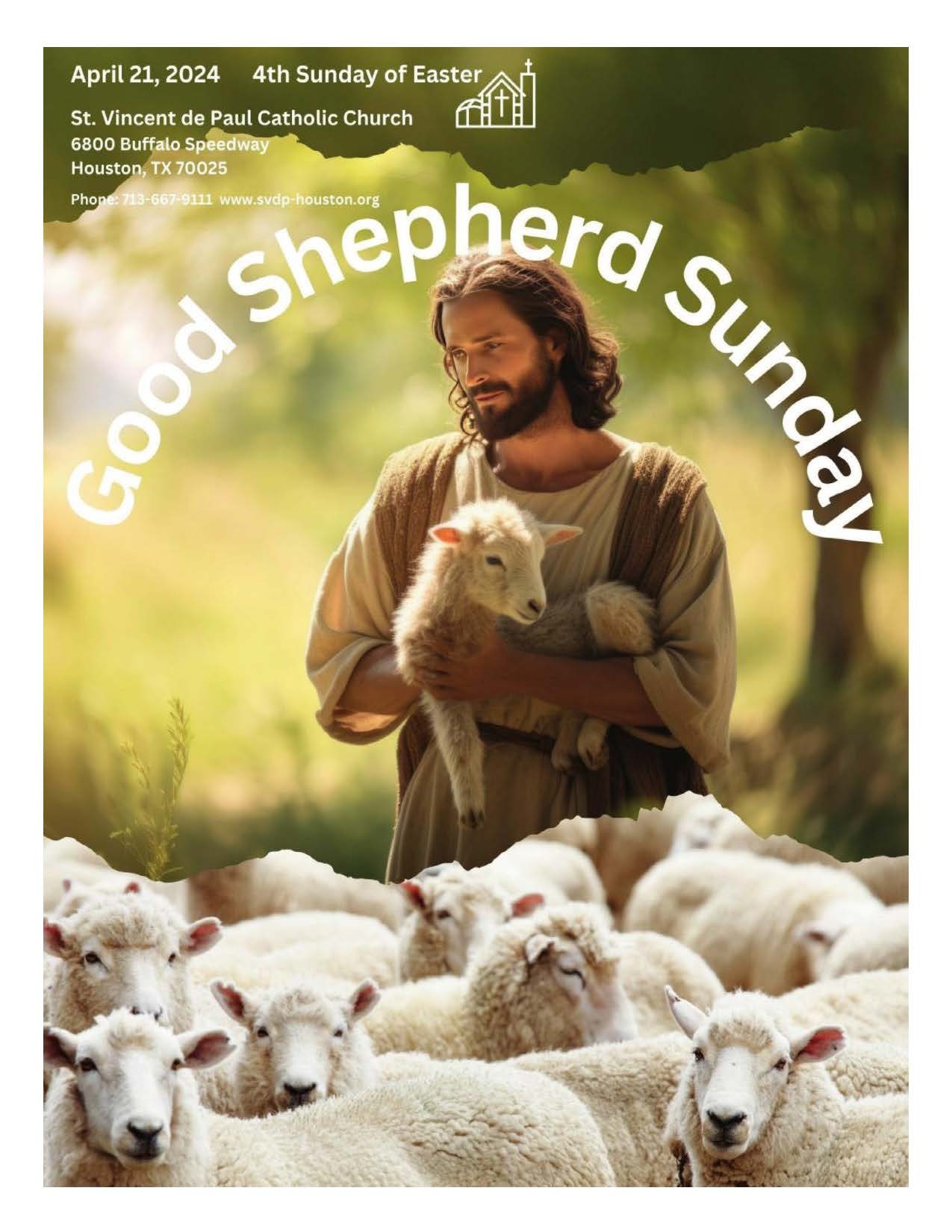 Bulletin | St. Vincent de Paul | Houston, TX