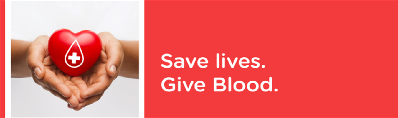 Saint Ann Roman Catholic Church - Oportunidades para Servicio ...