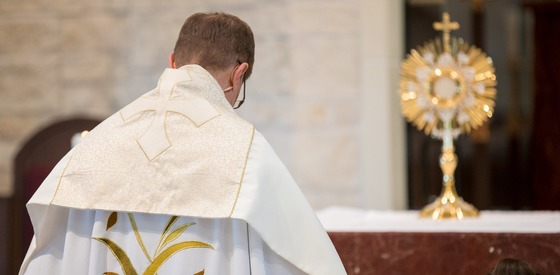World Priest Day/Dia Mudial Del Sacerdote - Diocese of Austin - Austin, TX