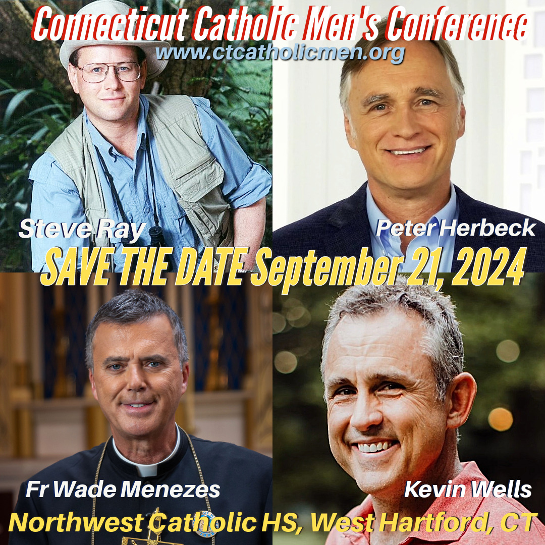 Promotional information & Past conferences