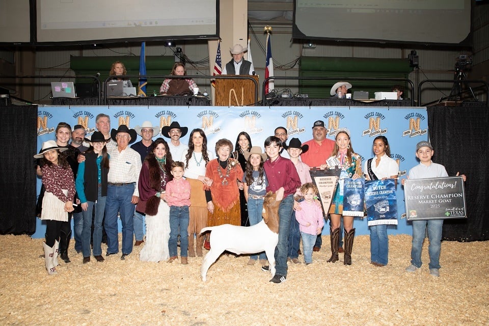 Goat Division - Nueces County Junior Livestock Show & Sale - Robstown, TX