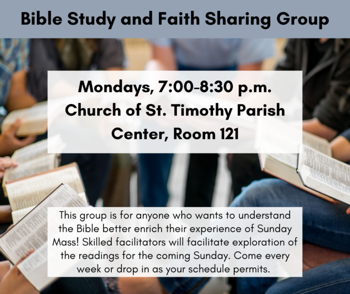 Church of St. Timothy - Blaine, MN