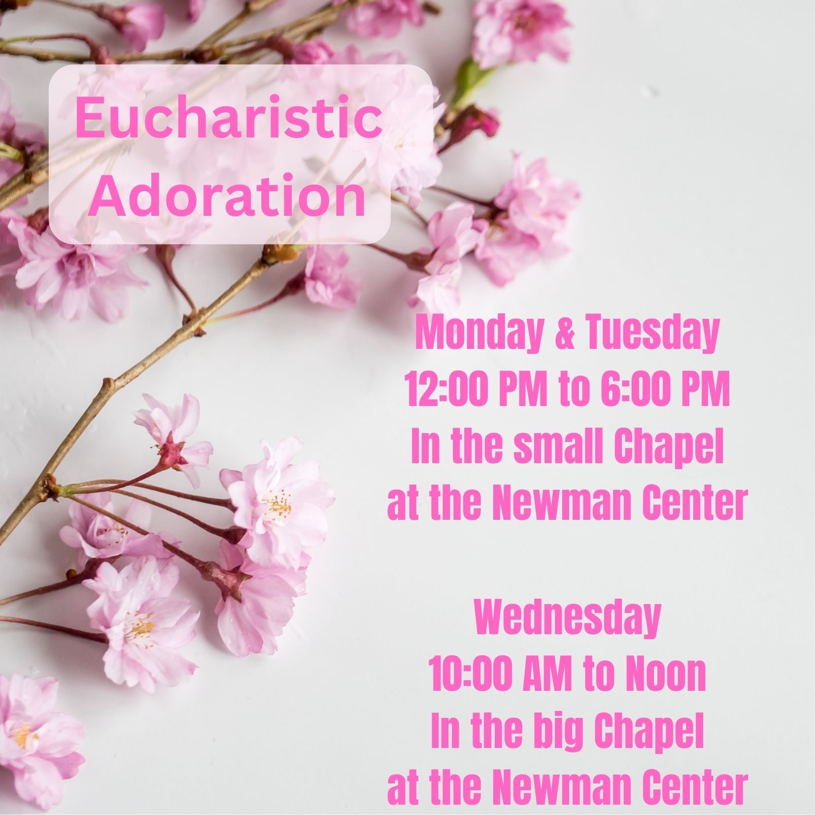 St. Faustina Parish - Eucharistic Adoration - Slippery Rock, PA