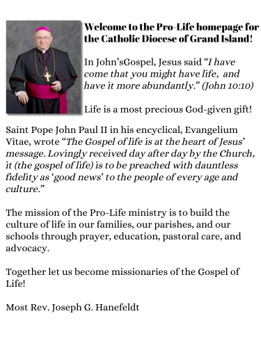 PRO-LIFE - Catholic Diocese of Grand Island - Catholic Diocese of ...