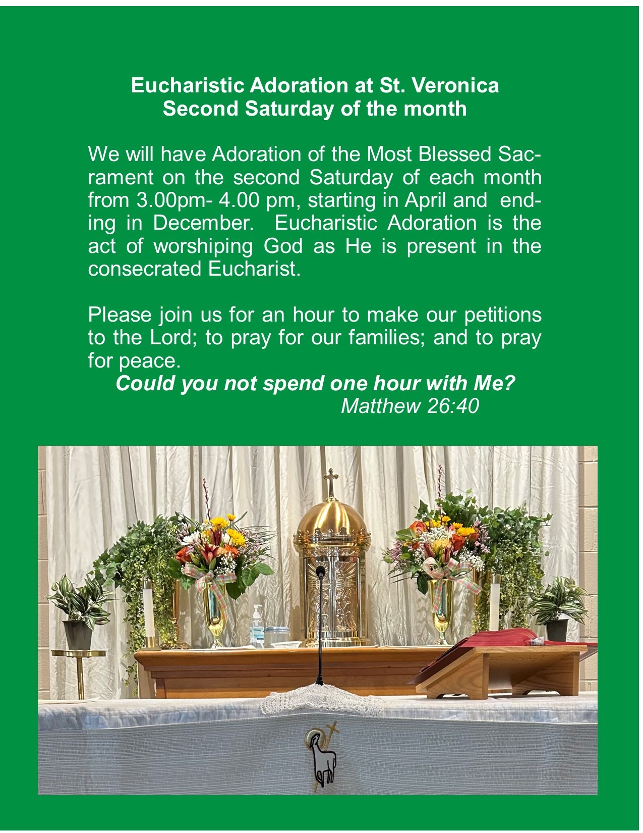 The Parish of Blessed Virgin Mary, Queen of Peace & St. Veronica ...