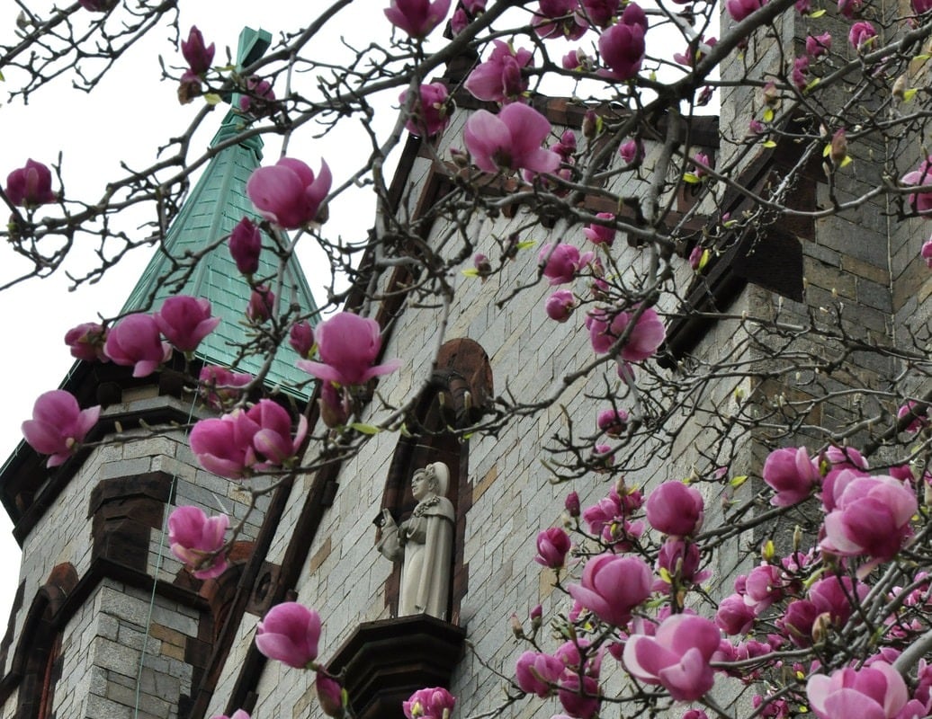 Dominican Order | St. Dominic Church | Washington, DC