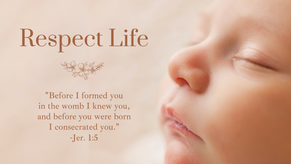 Respect Life | St. Mary | Williamston, MI