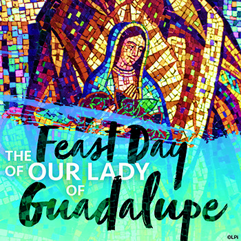 Celebrating December Feasts and Saints - St. Francis of Assisi ...