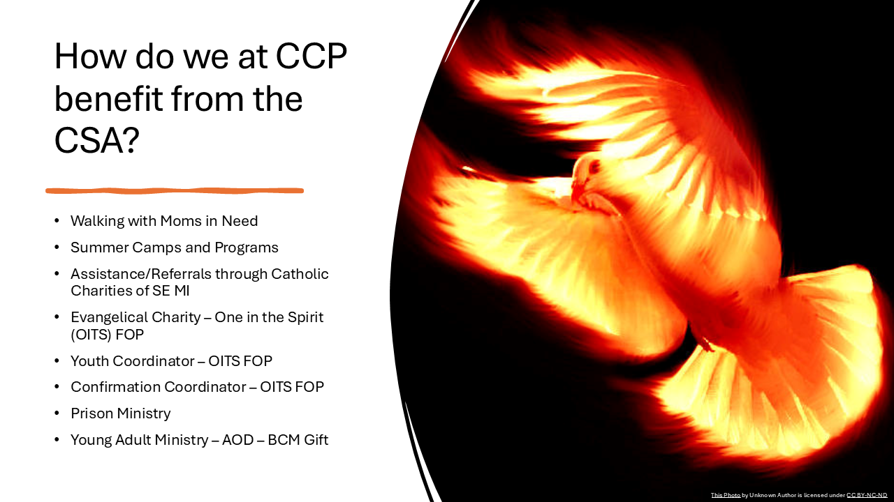 CSA 2025-2026 Update | Corpus Christi Catholic Church | Detroit, MI