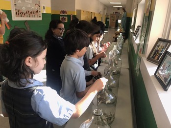 Parent Portal - St. Margaret Mary Catholic School - Harrisburg, PA