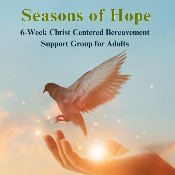 Seasons of Hope 6-Week Christ Centered Bereavement Support | St. Andrew ...
