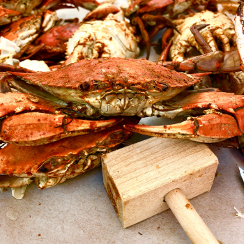 Annual Crab Feast: Sunday, August 24 - St. Gabriel Catholic Church ...