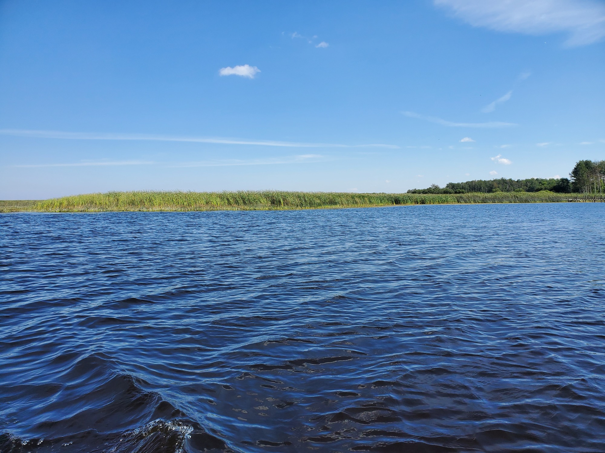 Haven of Mercy Catholic - Little Falls, Randall, Flensburg & Sobieski, MN