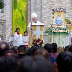 Solemnity of Our Lady of Arabia - Homily by Bishop Paolo Martinelli ...