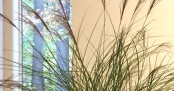 Lenten Day of Reflection “Mystery of Suffering” March 14 - Resurrection ...